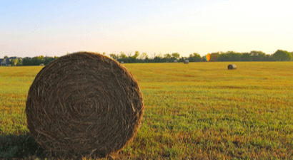 Shepstone & Wylie - PROPERTY LAW SERIES WITH SIFISO MSOMI - SALE OF AN ...